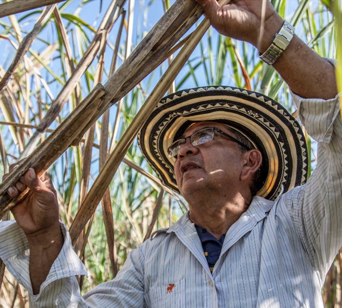 This is How Colombian Artisans Make Art Out of Cane – WYU Handmade